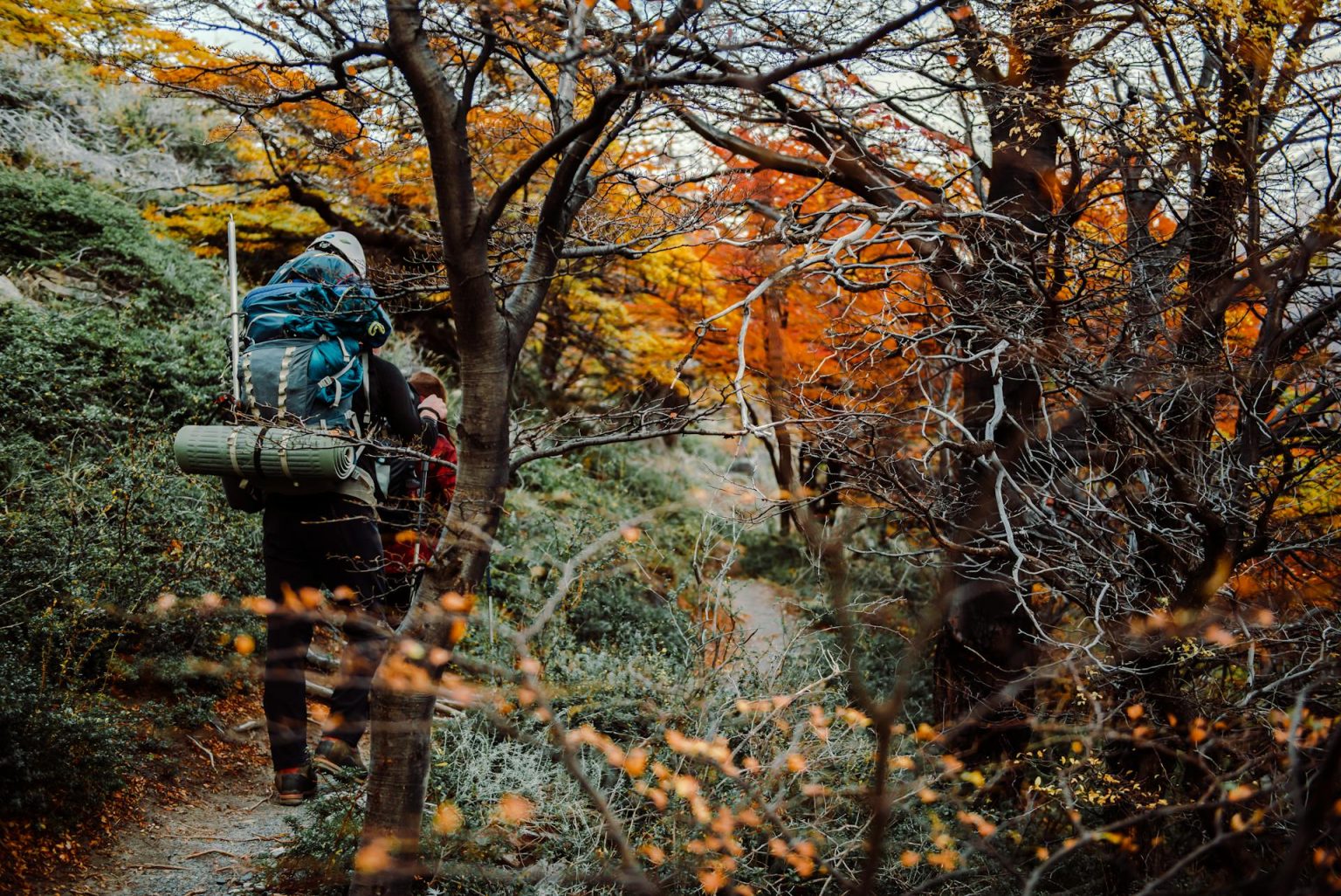 7 of the Most Popular Types of Hiking - Kayde Parker