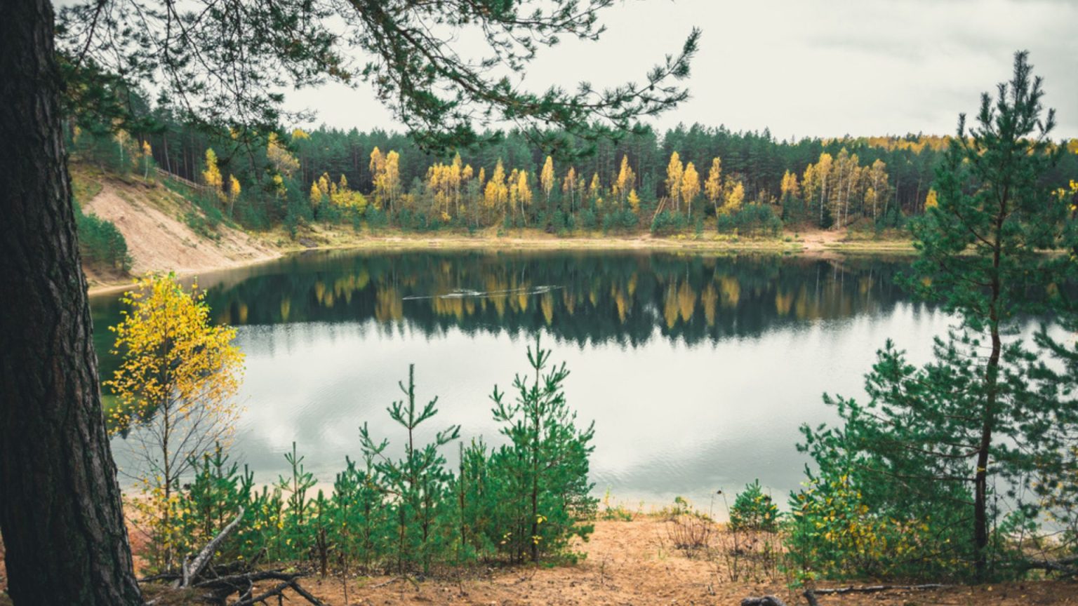 Best Hikes in Latvia: 6 Scenic Trails You Shouldn’t Miss