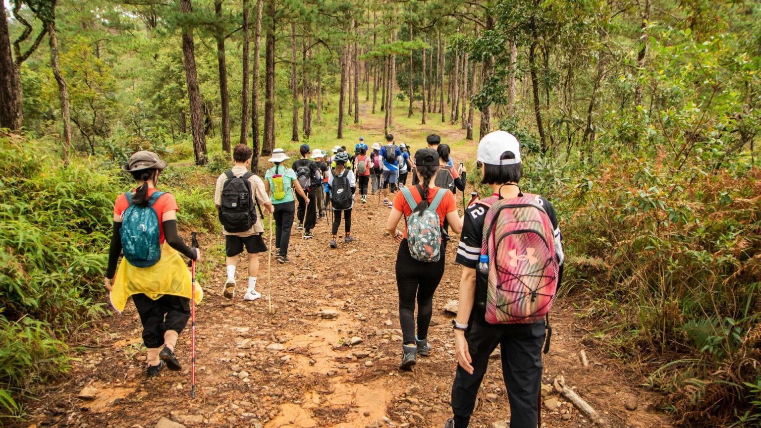 5 Best Hiking Activities on Your Next Walking Trip